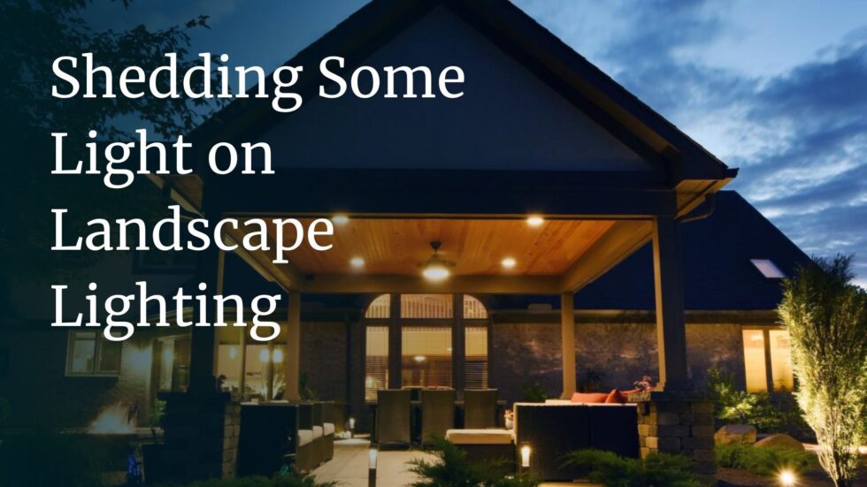 Landscape Lighting: Shedding Some Light - The Site Group