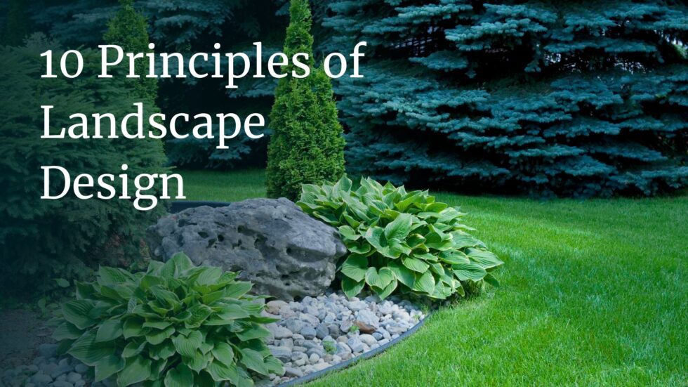 10 Principles of Landscape Design - The Site Group