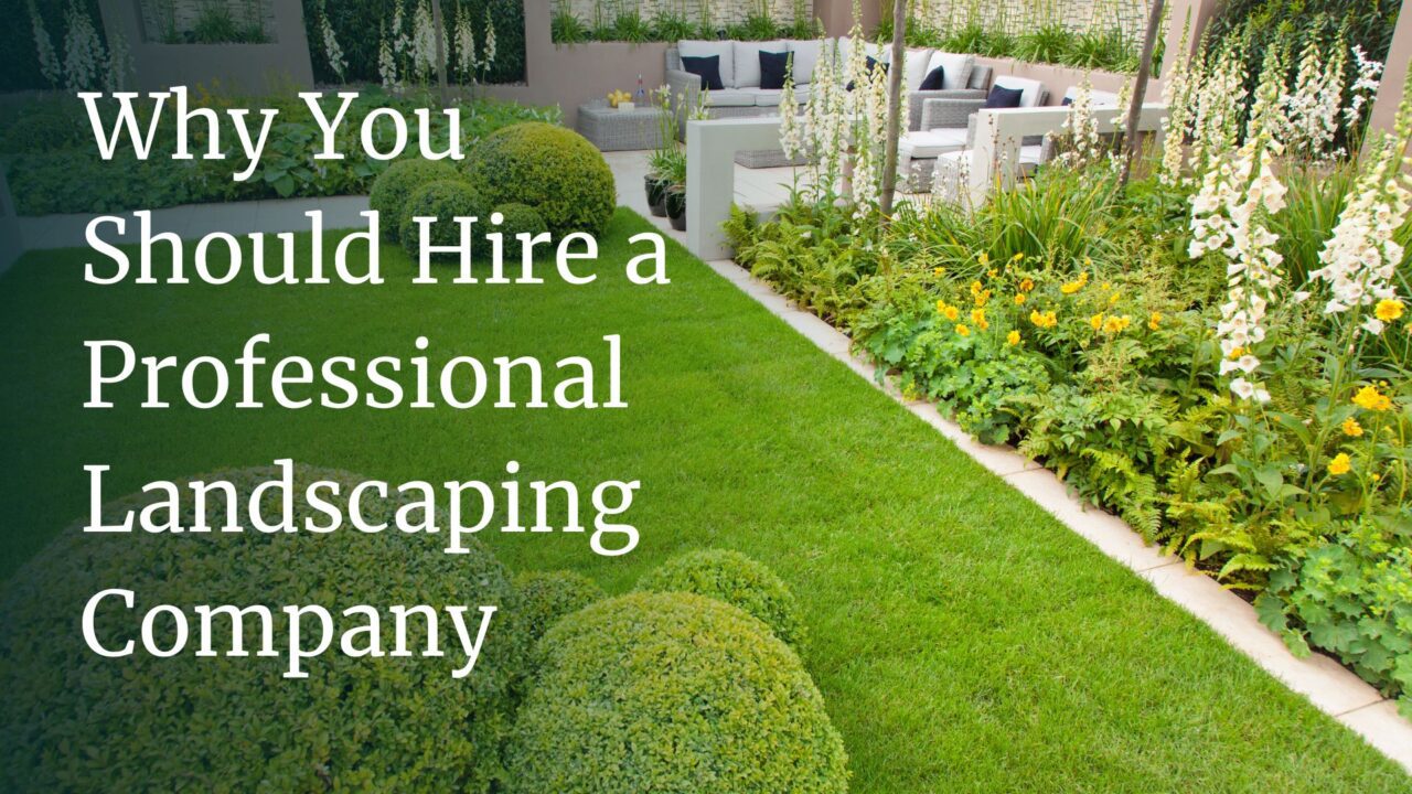 Why You Should Hire a Professional Landscaping Company - The Site Group