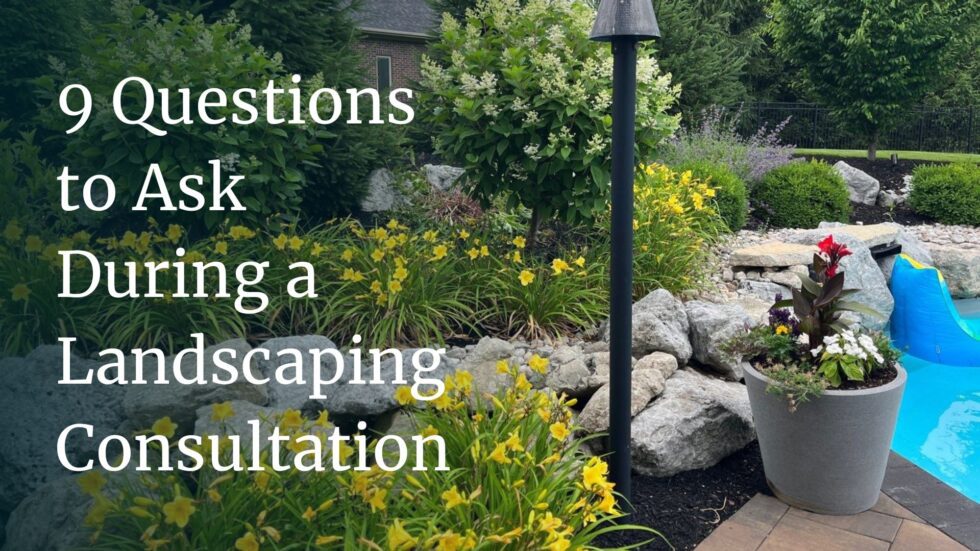 9 Questions to Ask During A Landscaping Consultation - The Site Group