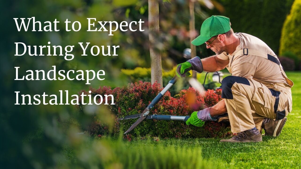 What to Expect During a Landscape Installation - The Site Group