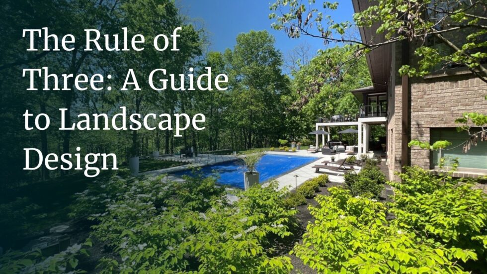 The Rule of Three: Guiding Landscape Designs - The Site Group