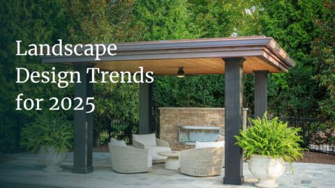 Landscape Design Trends for 2025 - The Site Group